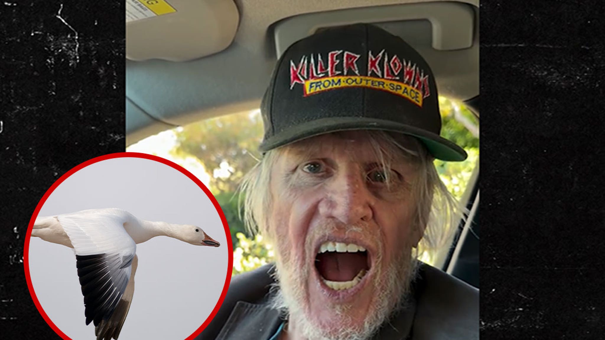 Gary Busey toca la bocina como un ganso en un extraño video de ...